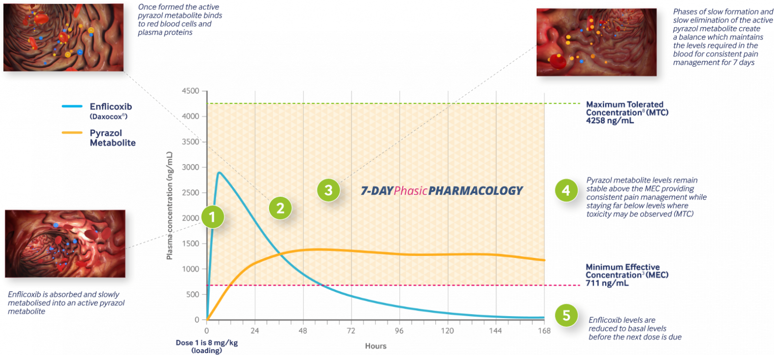 Daxocox - How Daxocox® Works